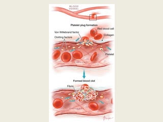 presentation_bleeding_and_clotting_disorder__1496298530_281895.pptx ...