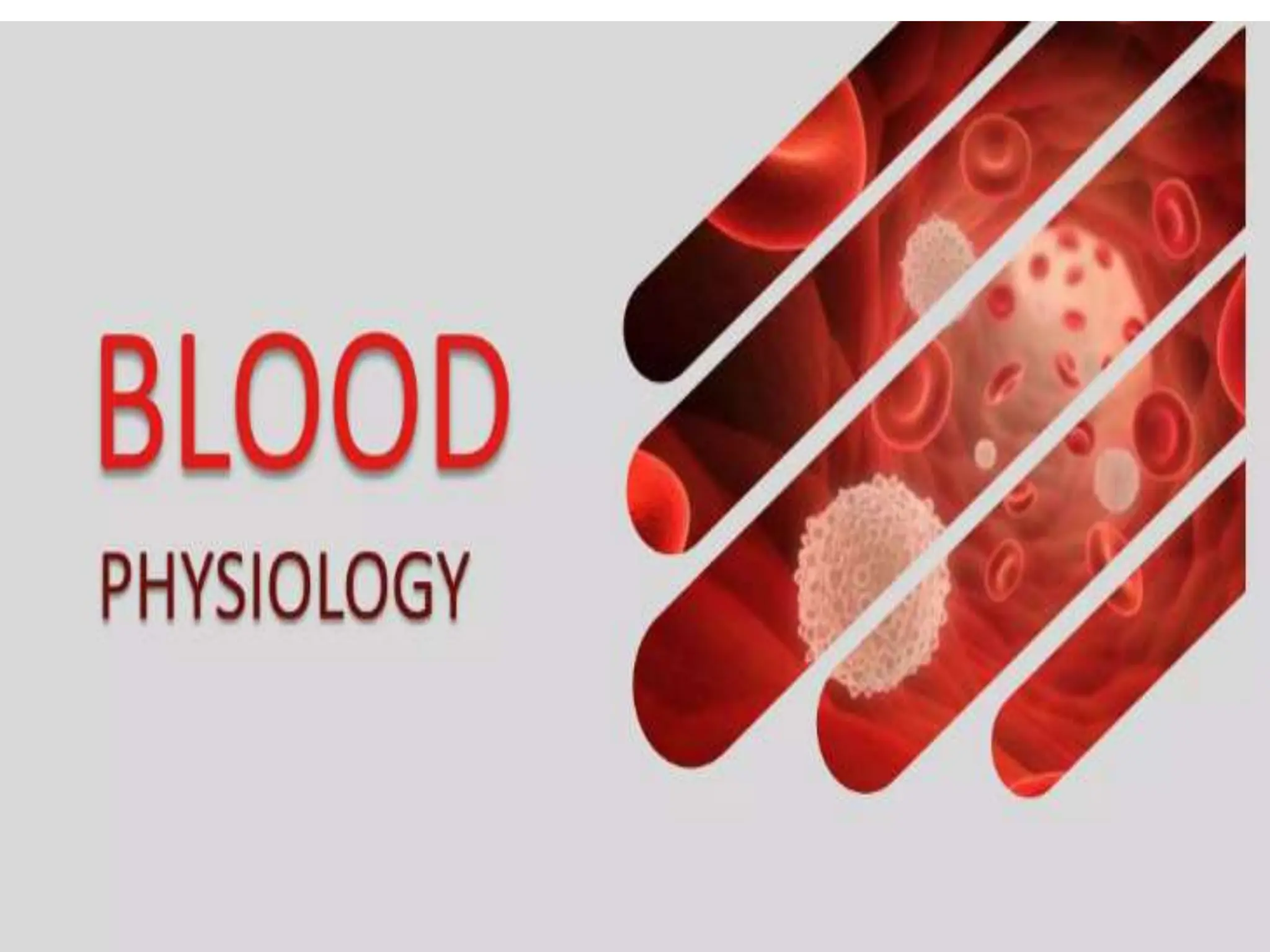 Presentation on blood in physiology.pptx