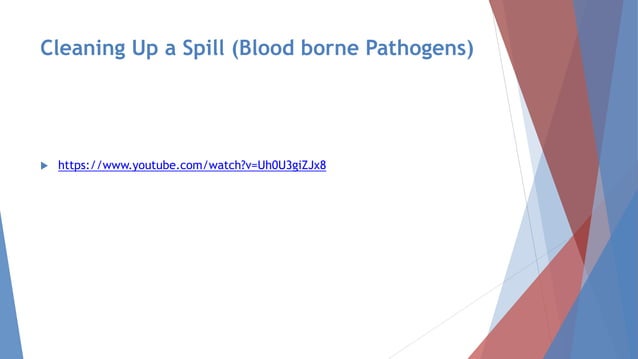 Presentation blood spill handling amc | PPTX | First Aid | Injuries