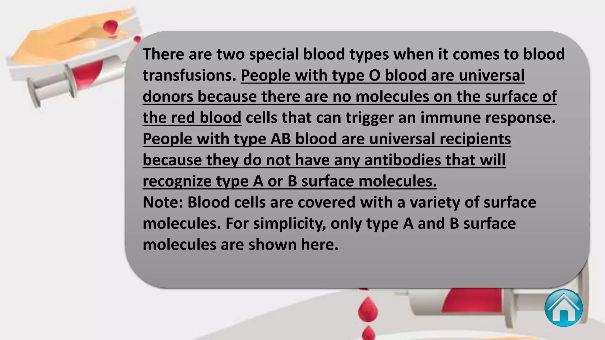 CLIL Biology Genes and Blood Types M4 | PPTX