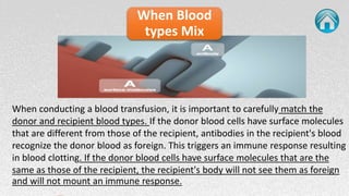 CLIL Biology Genes and Blood Types M4 | PPTX
