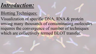 Presentation blotting techniques | PPTX