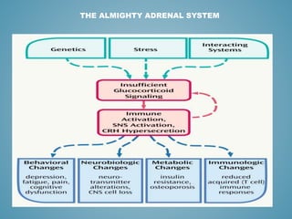 Presentation blueprint wellness | PPTX