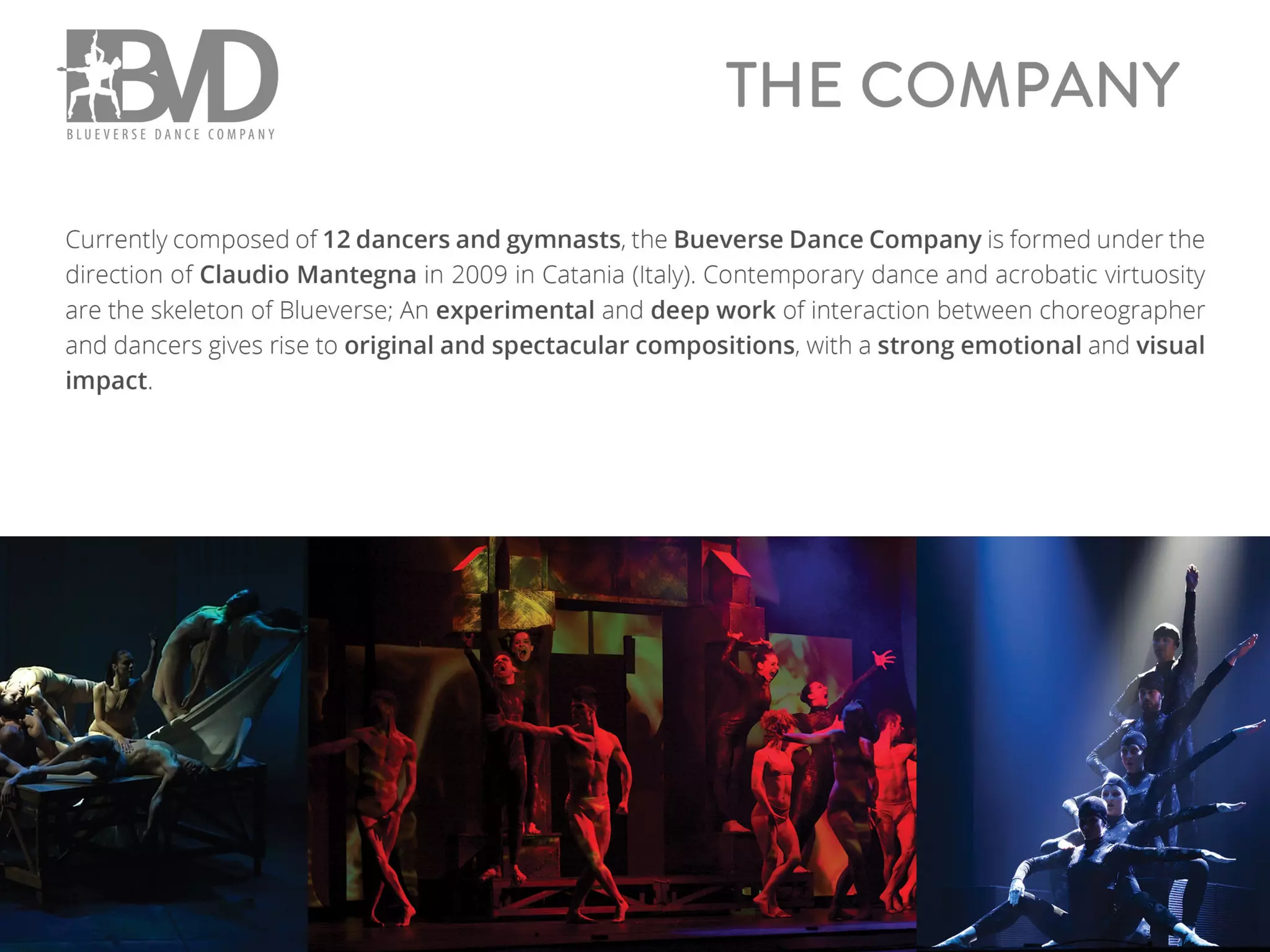 Presentation BlueVerse (1) | PDF