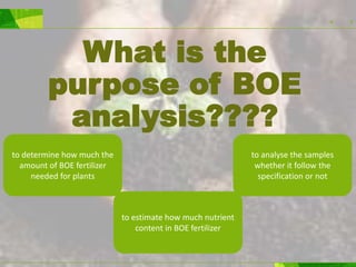 Presentation boe analysis | PPT