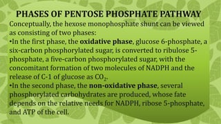 Pentose Phosphate Pathway | PPTX