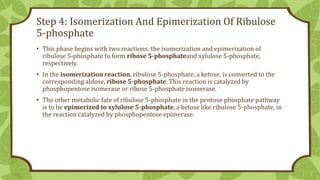 Pentose Phosphate Pathway | PPTX