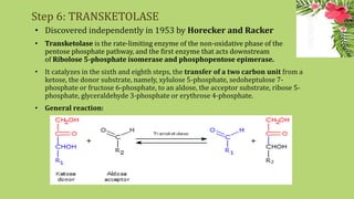 Pentose Phosphate Pathway | PPTX