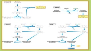 Pentose Phosphate Pathway | PPTX