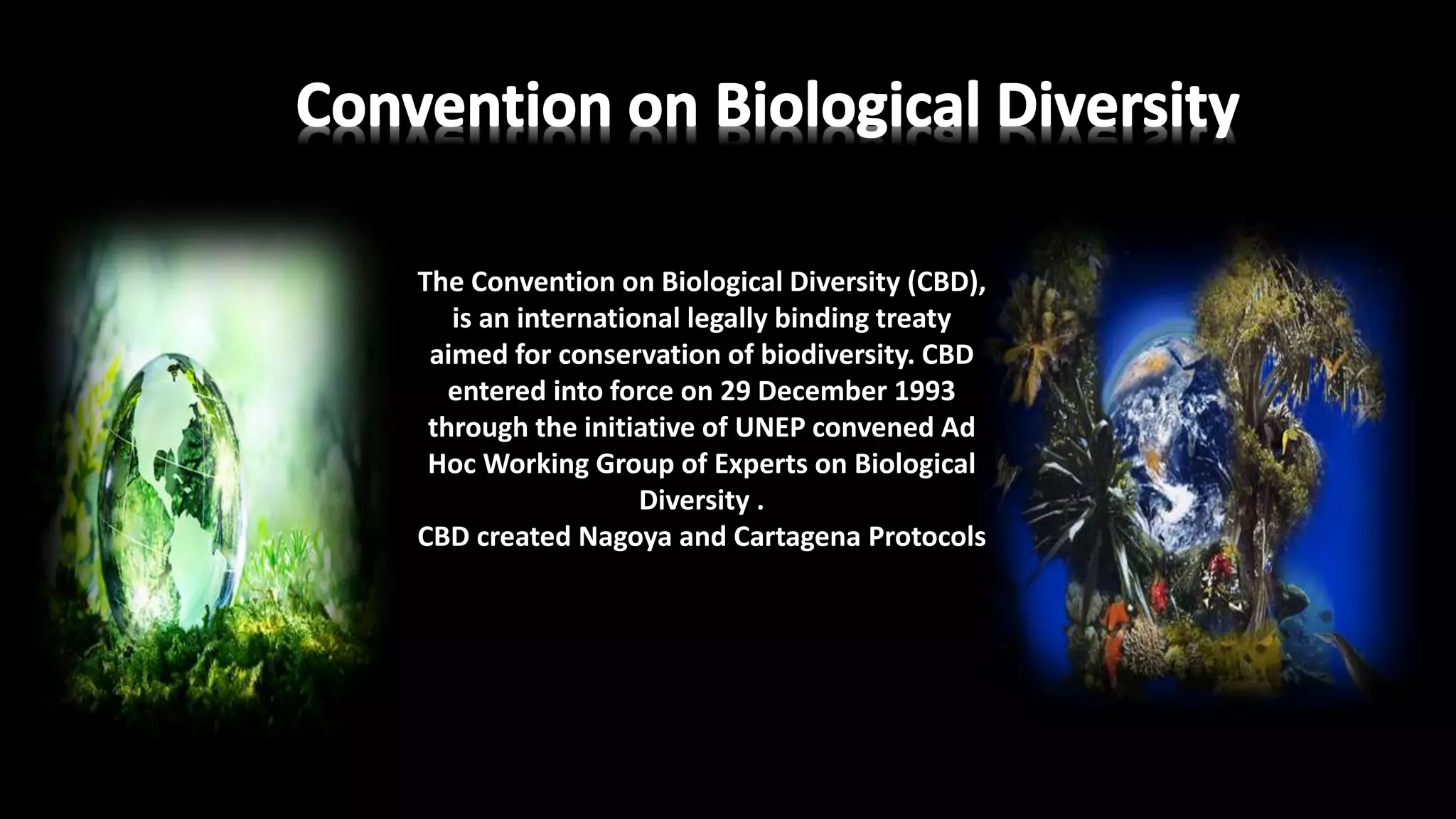 CONVENTIONS ON BIOLOGICAL DIVERSITY | PPT