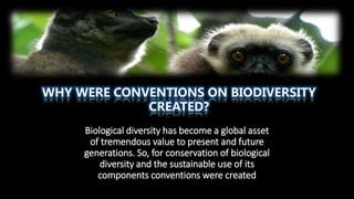 CONVENTIONS ON BIOLOGICAL DIVERSITY | PPT