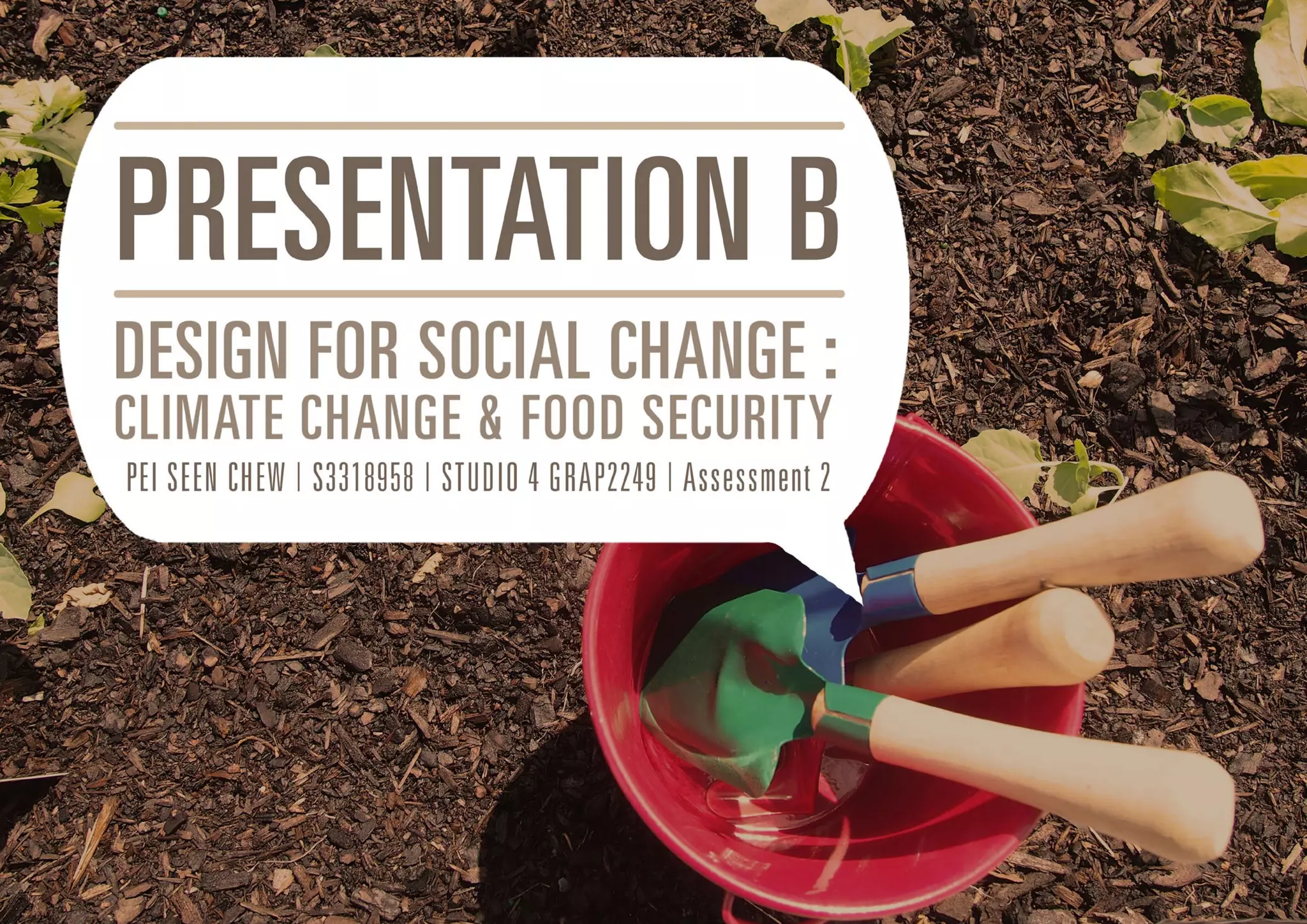 RMIT Social Change Studio - Pei Seen Chew | PPT