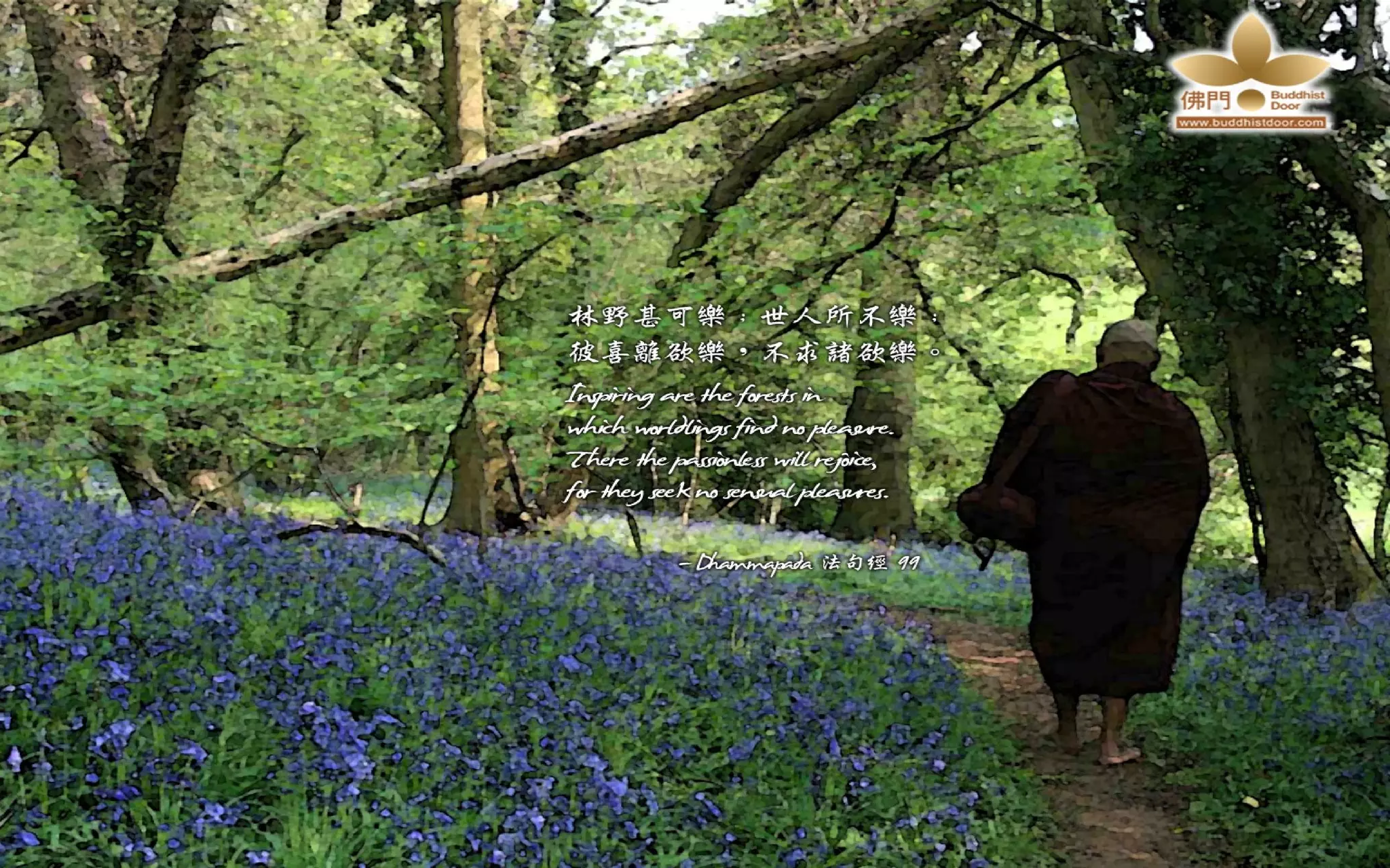 Presentation Buddha | PPT