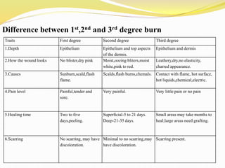 Presentation_burn_and_scalds.pptx