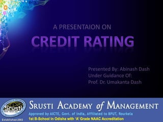A Presentation on Credit Rating Agency & Its Importance | PPTX
