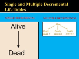 Presentation by amin | PPTX | Science