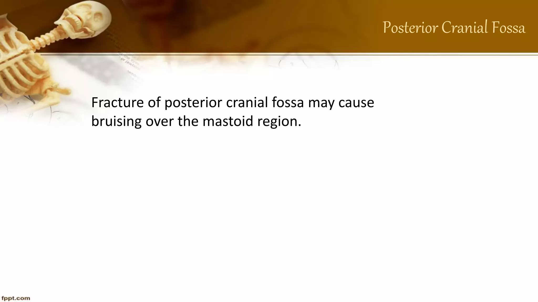 Clinical Anatomy of Skull (Presentation by Muhammad Arslan Yasin ...