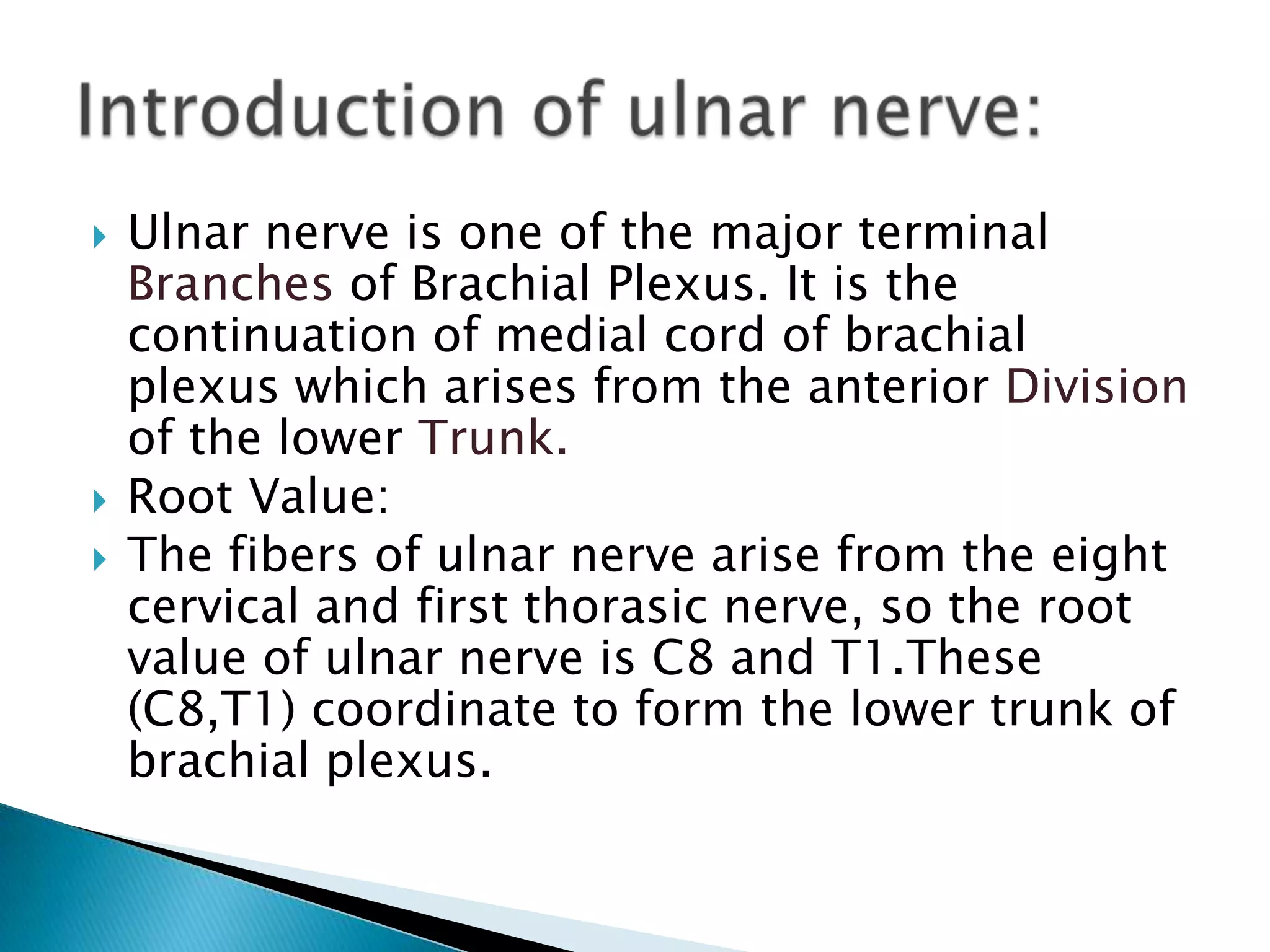 Presentation by azmat ali ulnar nerve anatomy 2 | PPTX