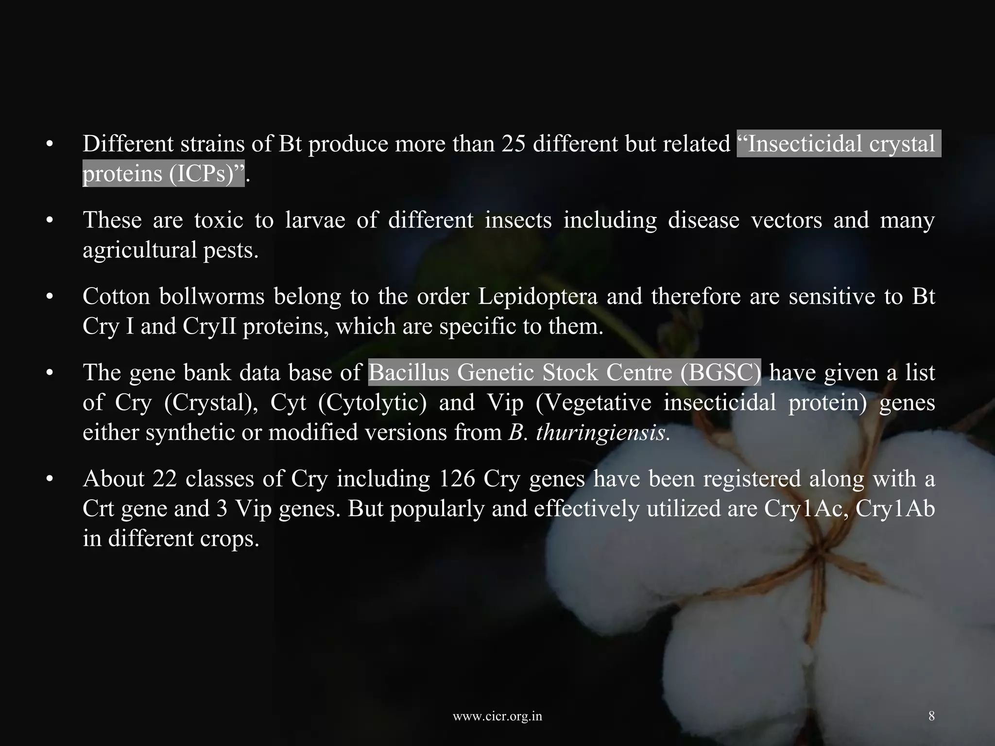 Bt-Cotton & Pest Resistant Bt-Toxin | PDF