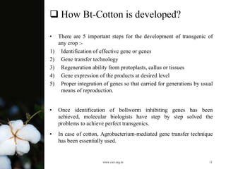 Bt-Cotton & Pest Resistant Bt-Toxin | PDF