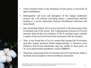 Bt-Cotton & Pest Resistant Bt-Toxin | PDF