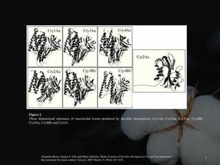 Bt-Cotton & Pest Resistant Bt-Toxin | PDF