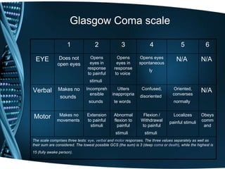 Presentation by dr. mottalib | PPT