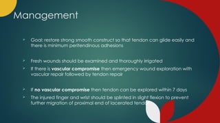 Comprehensive Guide to Flexor Tendon Repair and Rehabilitation ...
