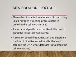 molecular markers based on DNA | PPT