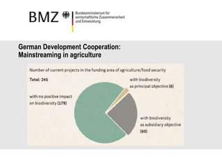 Presentation by Germany - experiences with mainstreaming biodiversity ...