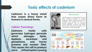 A presentation on Heavy metals, Their uses and toxicity in human body ...