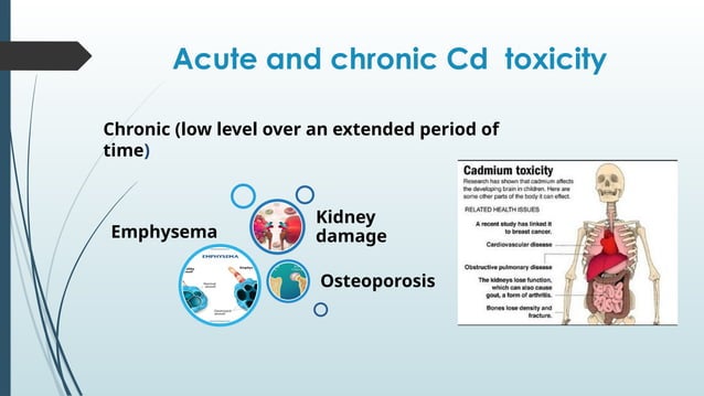 A presentation on Heavy metals, Their uses and toxicity in human body ...