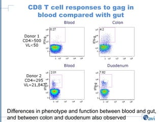 Immune Monitoring | PDF