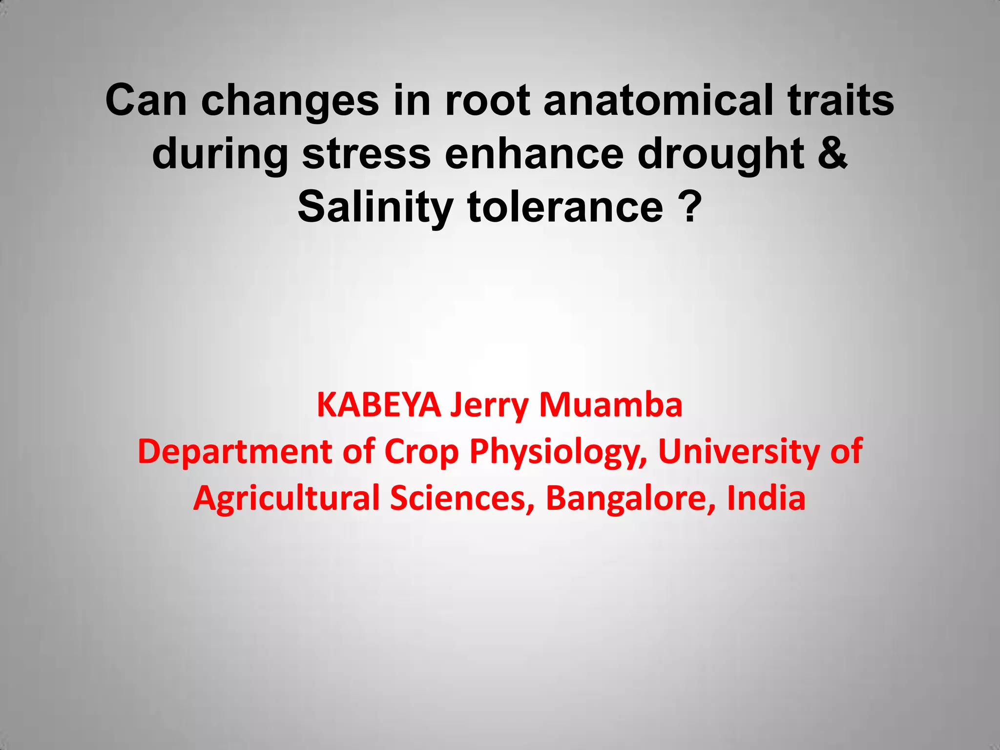 Can changes in root anatomical traits during stress enhance drought ...