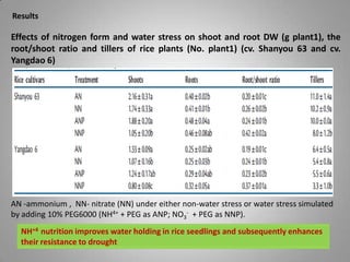 Can changes in root anatomical traits during stress enhance drought ...