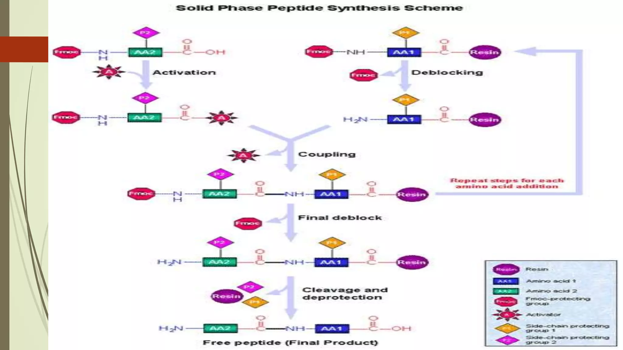 solid phase synthesis Presentation by komal | PPTX