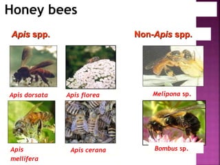 Presentation by manisha | PPT