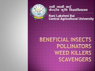 Presentation by manisha | PPT