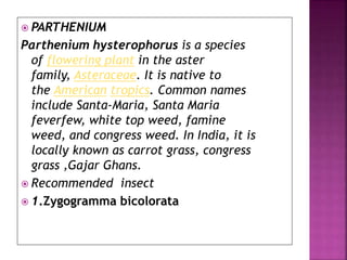 Presentation by manisha | PPT