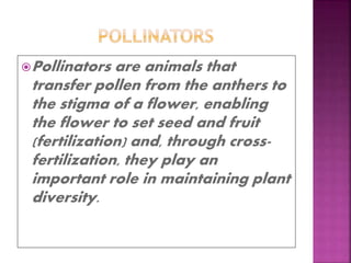 Presentation by manisha | PPT