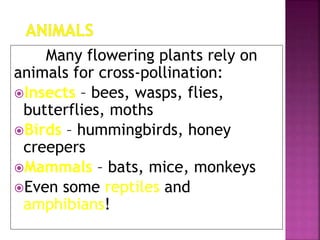 Presentation by manisha | PPT