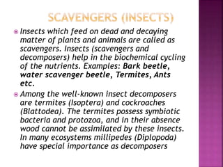 Presentation by manisha | PPT