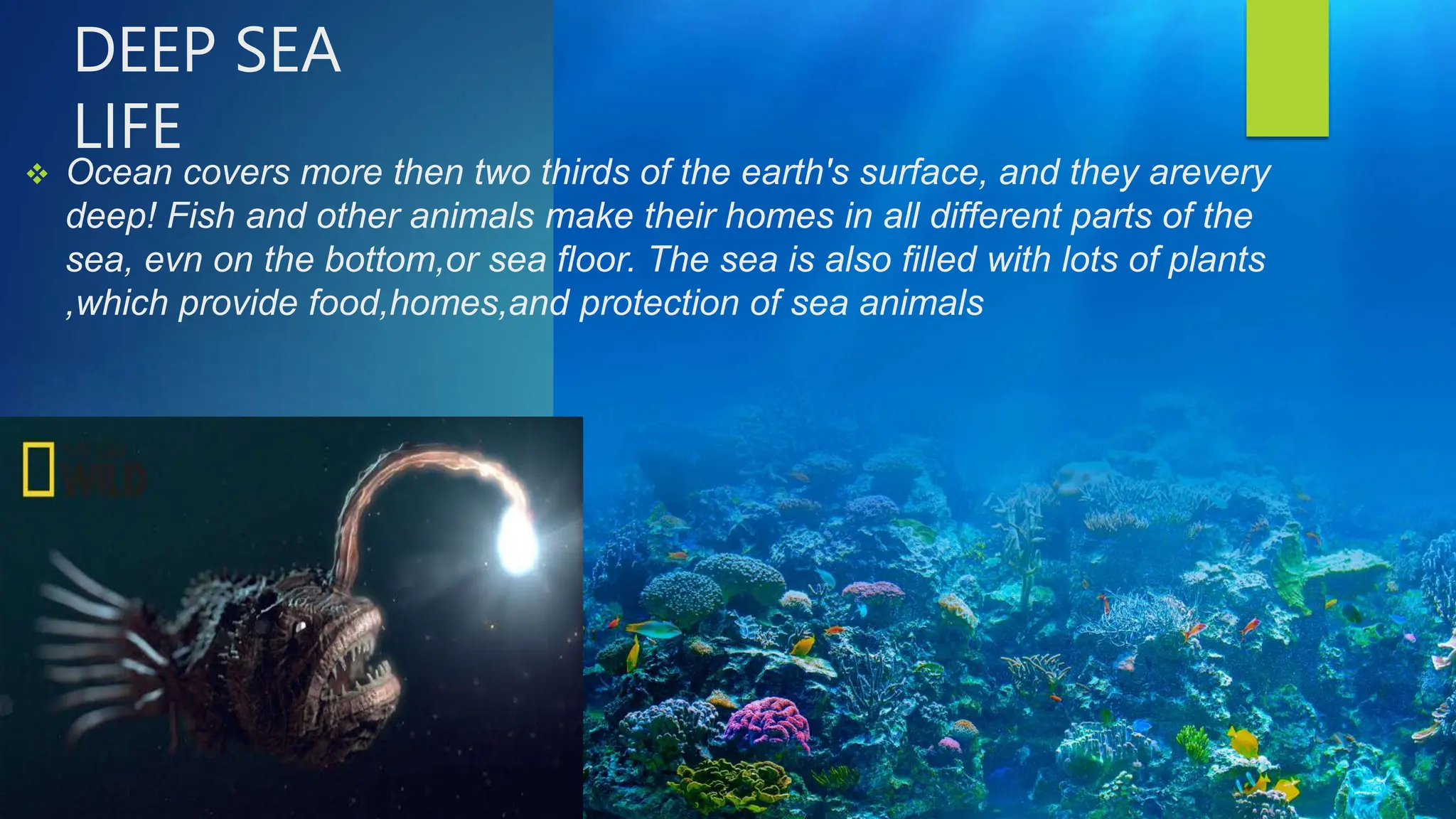 Presentation_BY_ME.pptx under the sea life | PPT