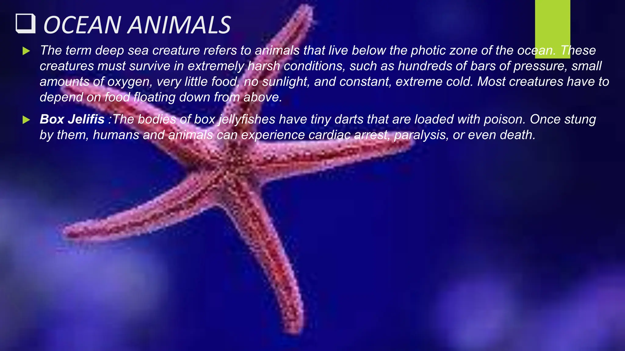 Presentation_BY_ME.pptx under the sea life | PPT