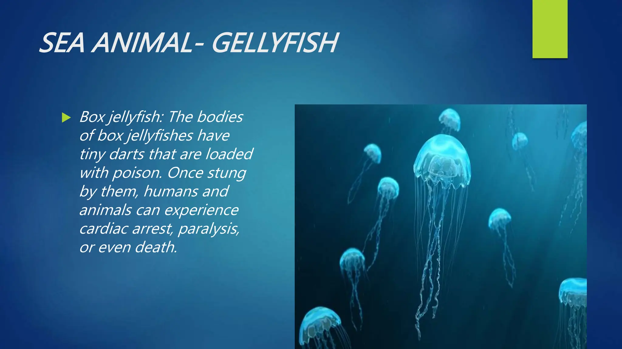 Presentation_BY_ME.pptx under the sea life | PPT