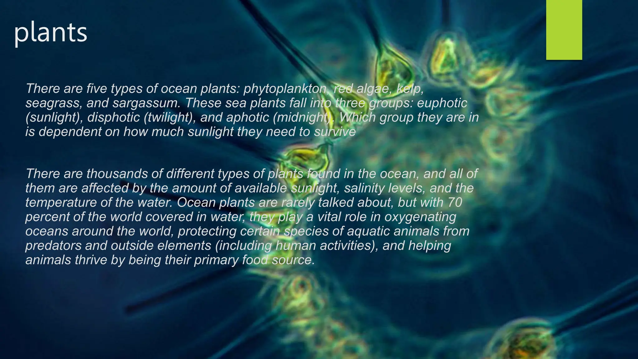 Presentation_BY_ME.pptx under the sea life | PPT