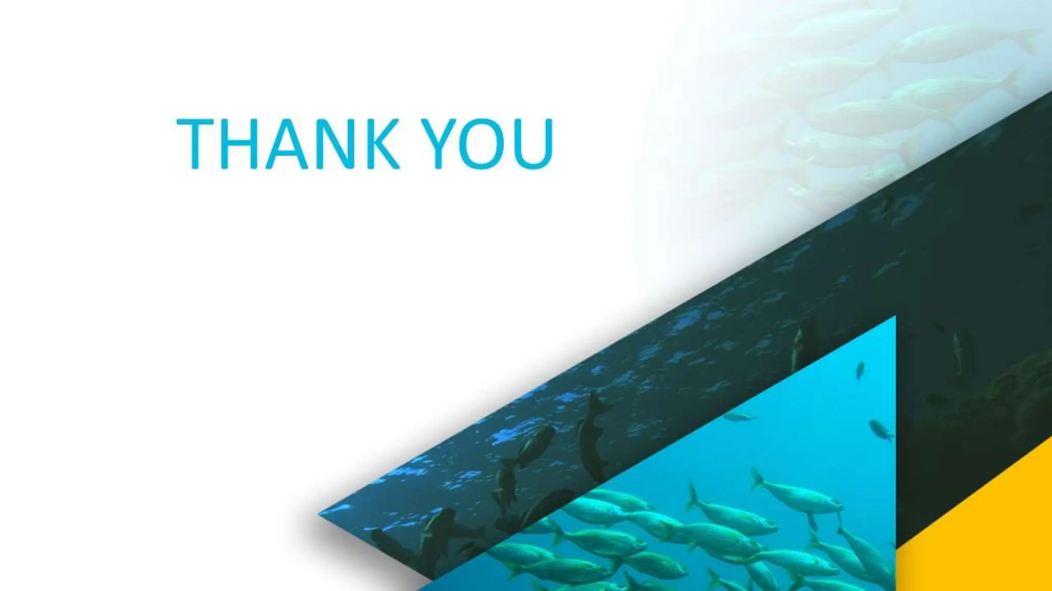 Presentation_BY_ME.pptx under the sea life | PPT