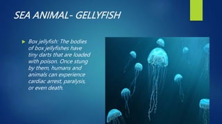 Presentation_BY_ME.pptx under the sea life | PPT