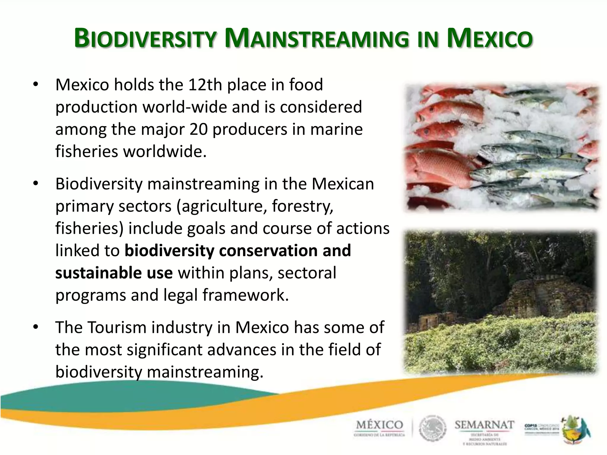 Presentation by Mexico - Challenges and opportunities in mainstreaming ...