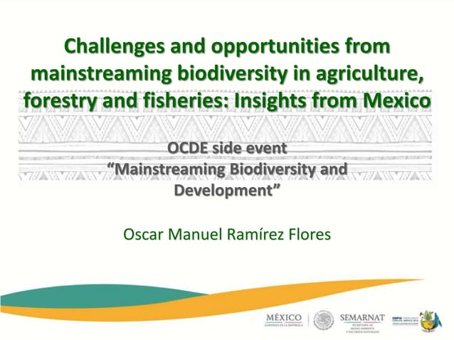Presentation by Mexico - Challenges and opportunities in mainstreaming ...